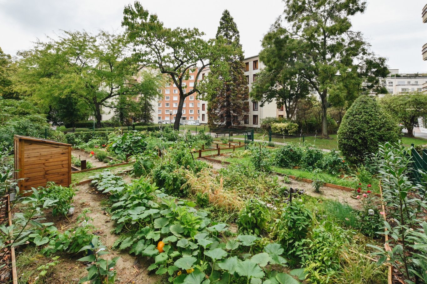 Deux nouveaux jardins partagés à Issy | Issy-les-Moulineaux
